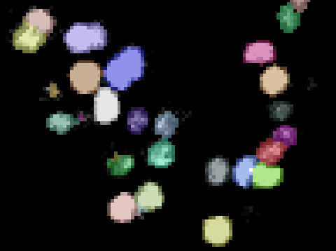 Eroding Cellpose Masks In 3D Image Analysis Image Sc Forum