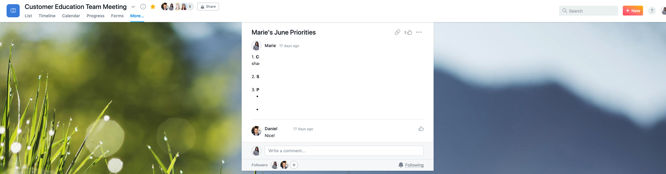 Weekly Team Priorities - Asana In Practice - Asana Forum