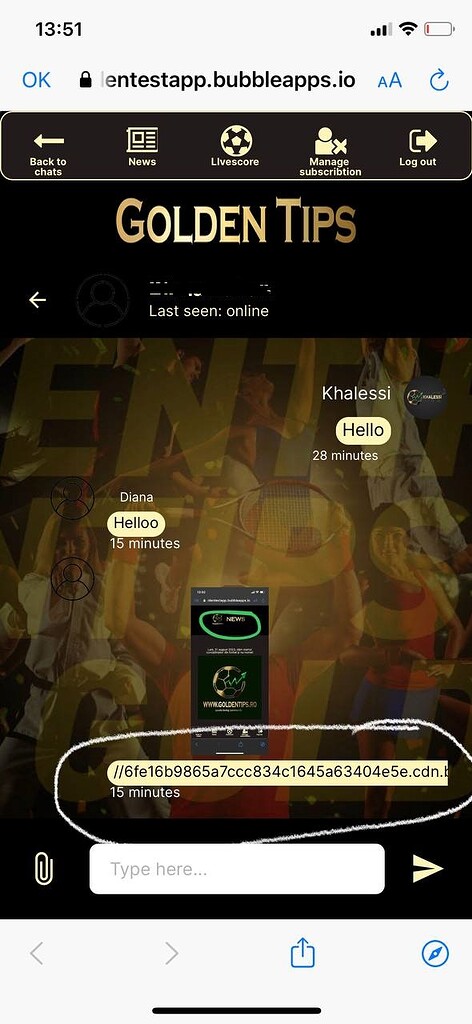 Image sending with no needed link under - Need help - Bubble Forum