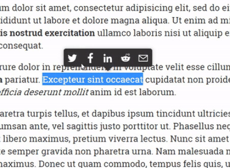 [New Plugin] Selected Text Menu & Text Highlighter - Showcase - Bubble Forum