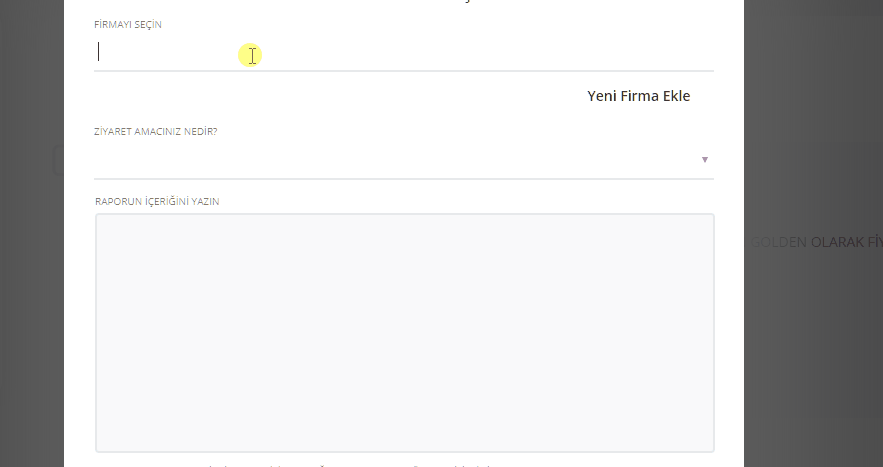 İ issue with searchbox - Bugs - Bubble Forum
