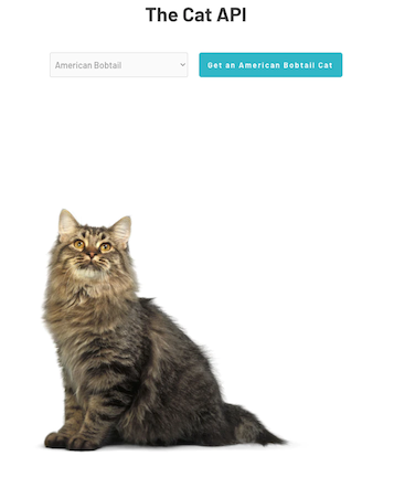 How to use data from one API call, to configure the next API call ...