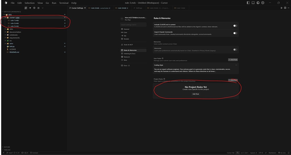 Project rules disappear whenever reopen Cursor - Bug Reports - Cursor ...