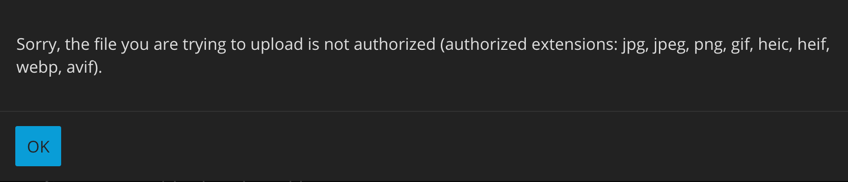 Cannot jump/edit in reference window - Bug Reports - Cursor - Community Forum