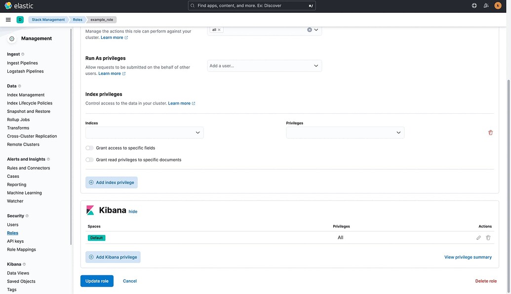 Error: Cannot read properties of undefined (reading 'includes') - Kibana - Discuss the Elastic Stack