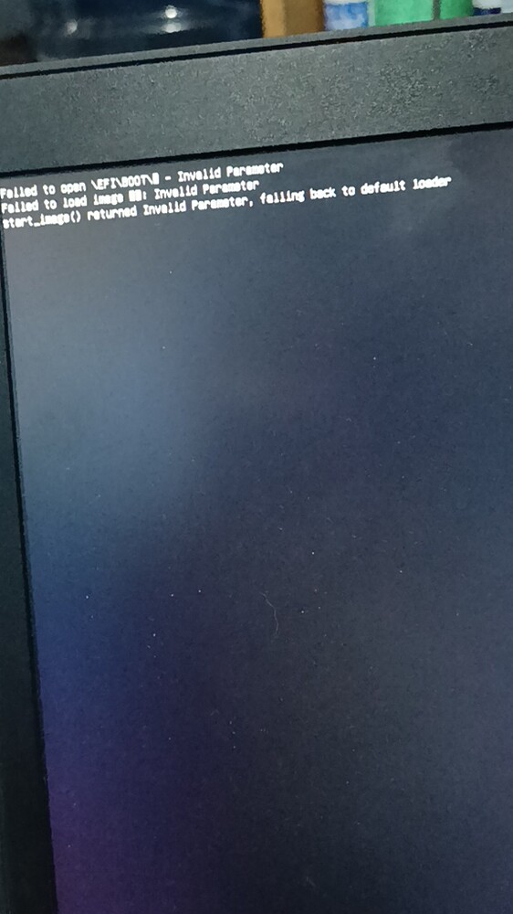 Install Failed to open EFI boot - invalid parameter - Fedora Discussion