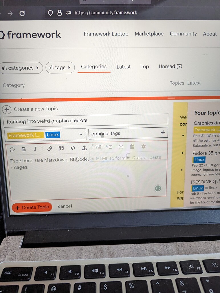 [RESPONDED] Running into weird graphical errors - Linux - Framework Community