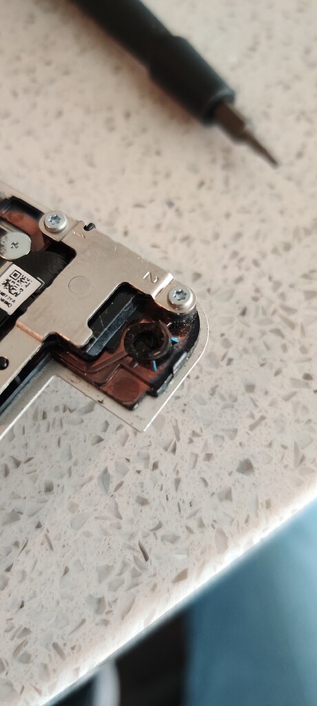 Input Cover nuts - Community Support - Framework Community