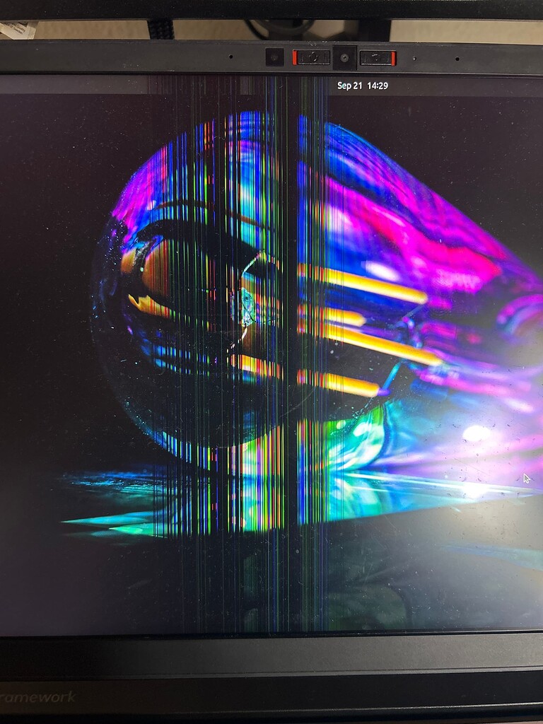 Framework 13 (AMD Ryzen 5) – Display shows vertical lines and ...