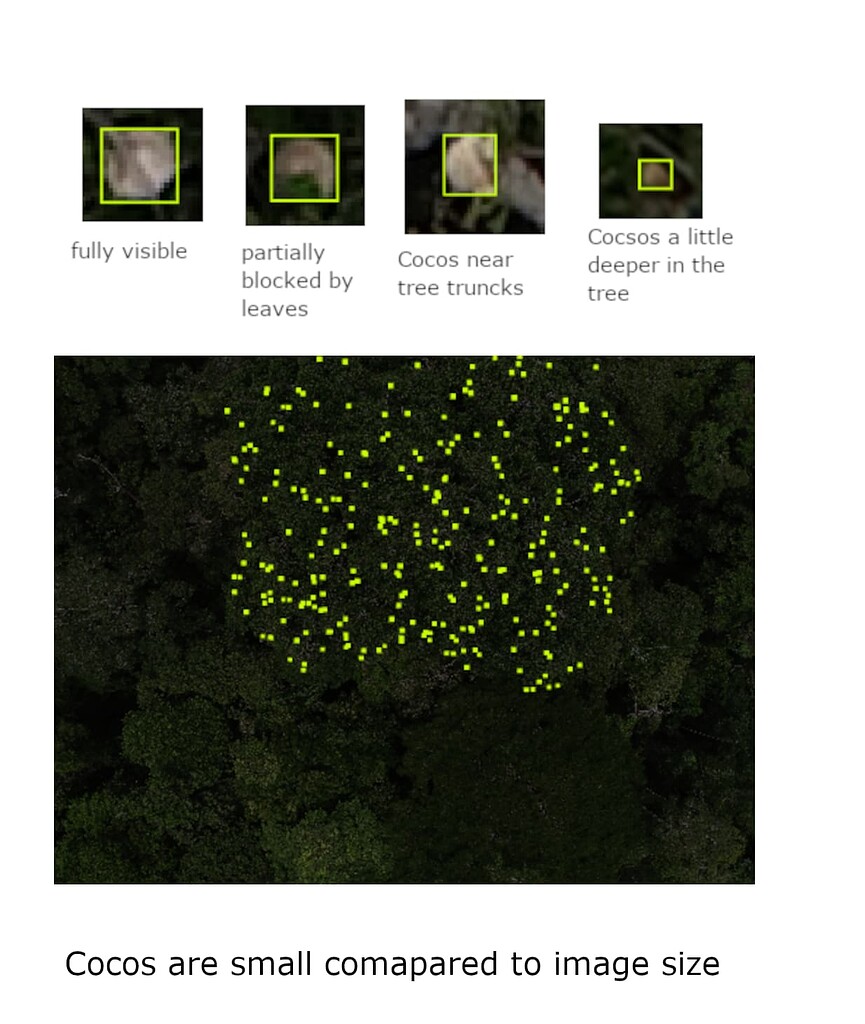 Improving results of poor detection - YOLO - Ultralytics