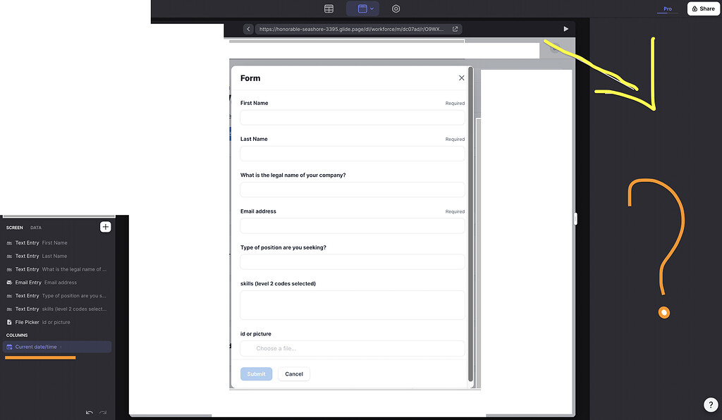 Special Values in Form screen Crash/Not Working [Glide Pages] - Report a Bug - Glide Community
