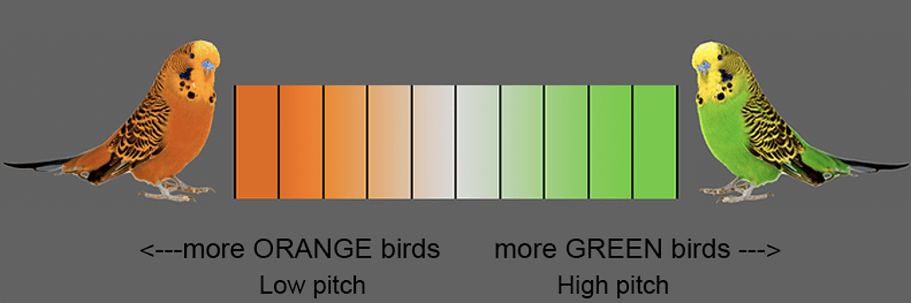 Continuous slider response - Builder - PsychoPy