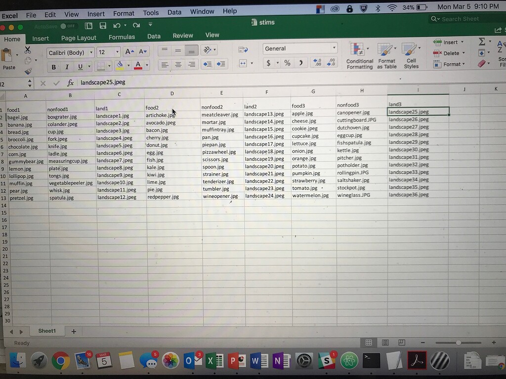 Randomization of Conditioned Image Blocks - Builder - PsychoPy