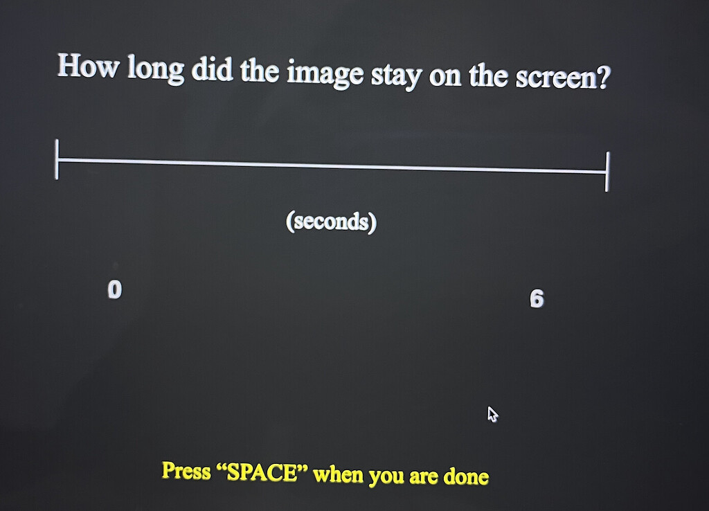 Slider Label Position - Online experiments - PsychoPy