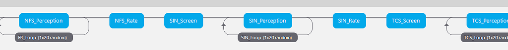 Perception Tasks Randomization - Builder - PsychoPy