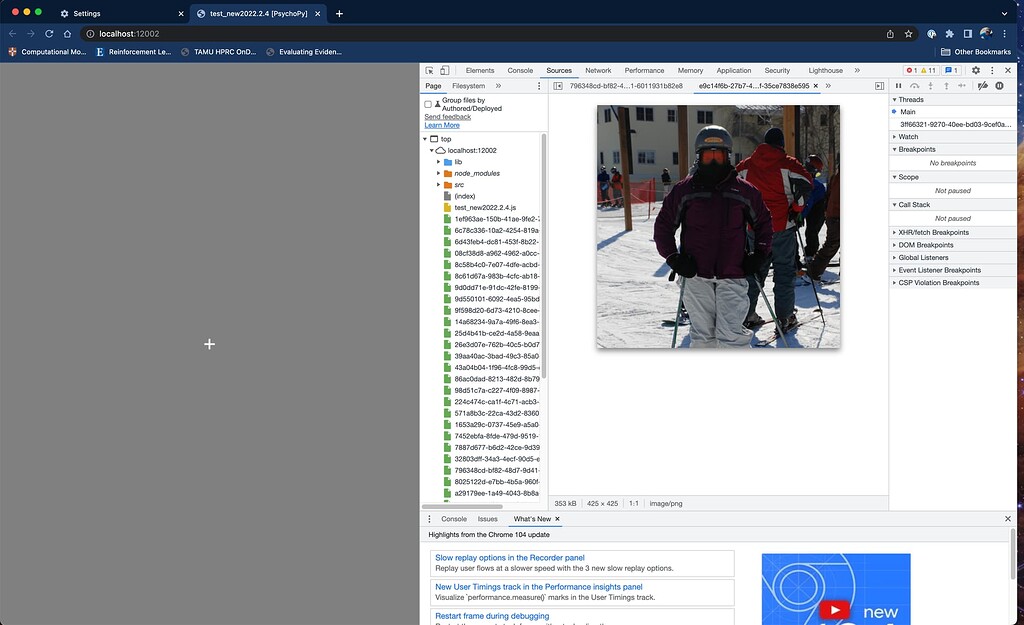 Example of static component for online experiment - Online experiments ...
