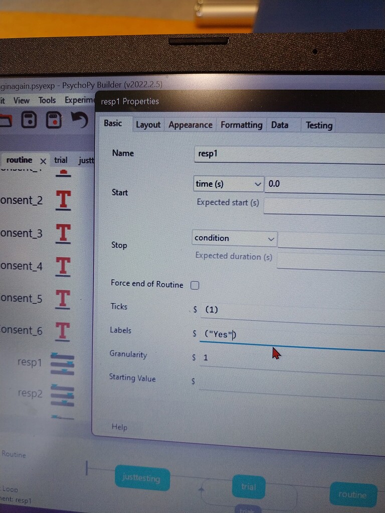 Setting slider to have only 1 tick for consent form - Builder - PsychoPy