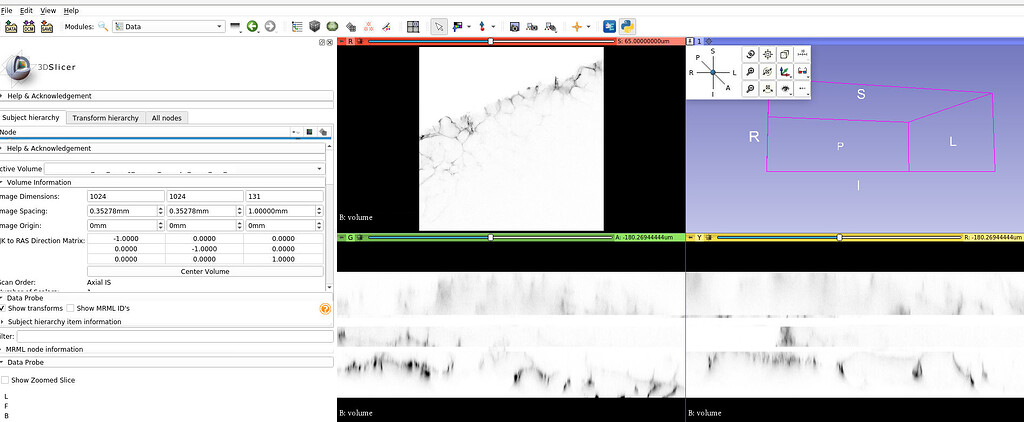 Volume rendering of an image stack in tiff file - Support - 3D Slicer Community
