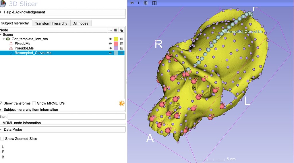 Extend the markup json to support multiple markups object - Feature requests - 3D Slicer Community