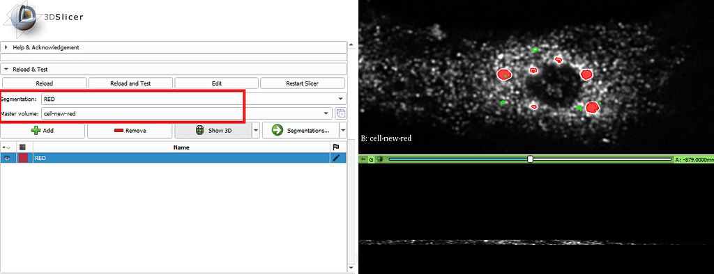 How to programmatically create the Master Volume for a segmentation node with multiple segments ...
