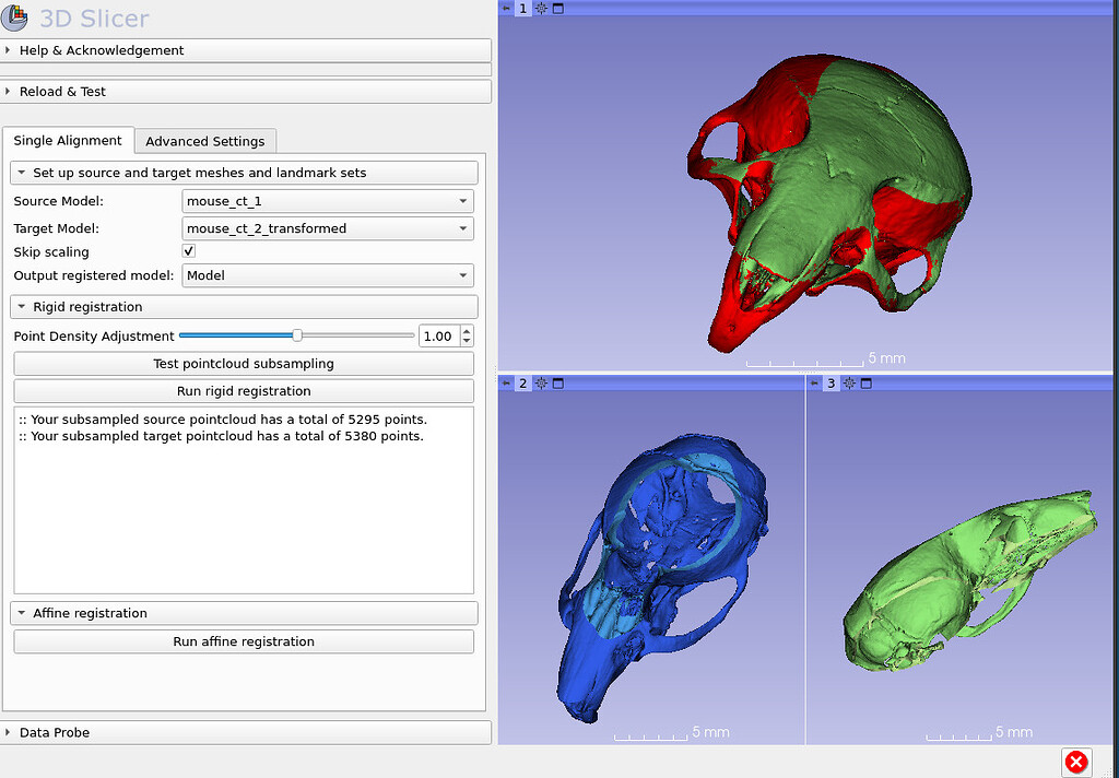 New FastModelAlign module in SlicerMorph - Announcements - 3D Slicer Community