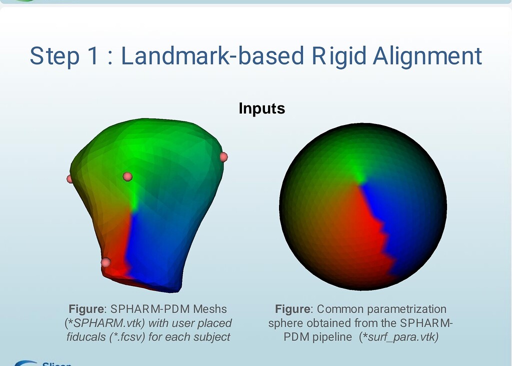 Shapepopulationviewer can't open the fiducial files - Support - 3D Slicer Community