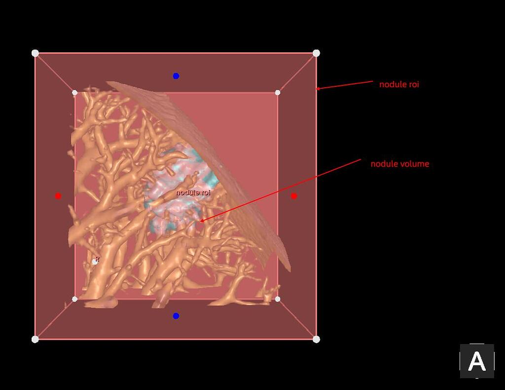 How to record vtkCamera transform matrix? - Support - 3D Slicer Community
