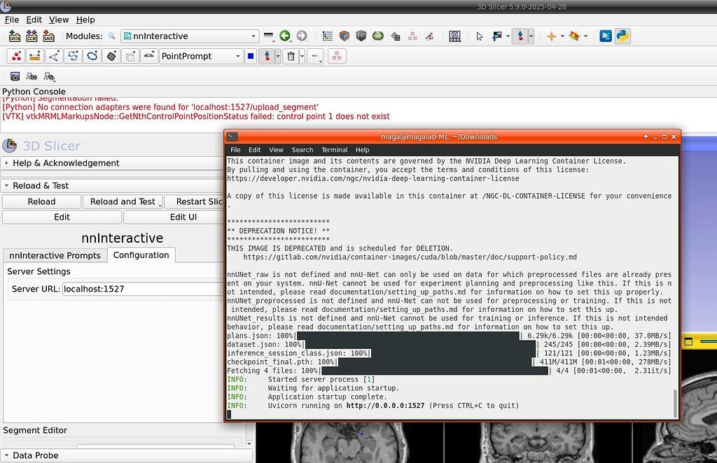 NNinteractive URL error - Support - 3D Slicer Community