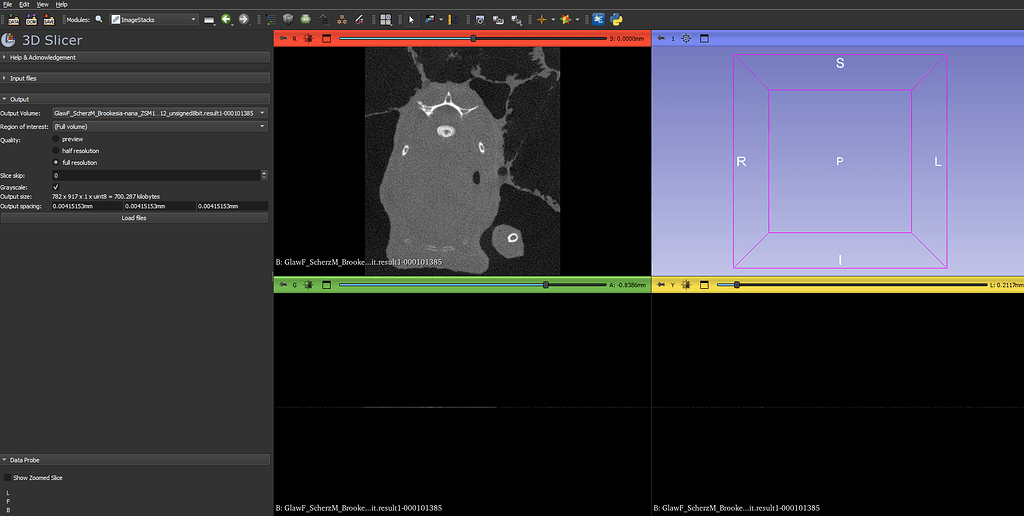 Importing and exporting 3D TIFs - Support - 3D Slicer Community