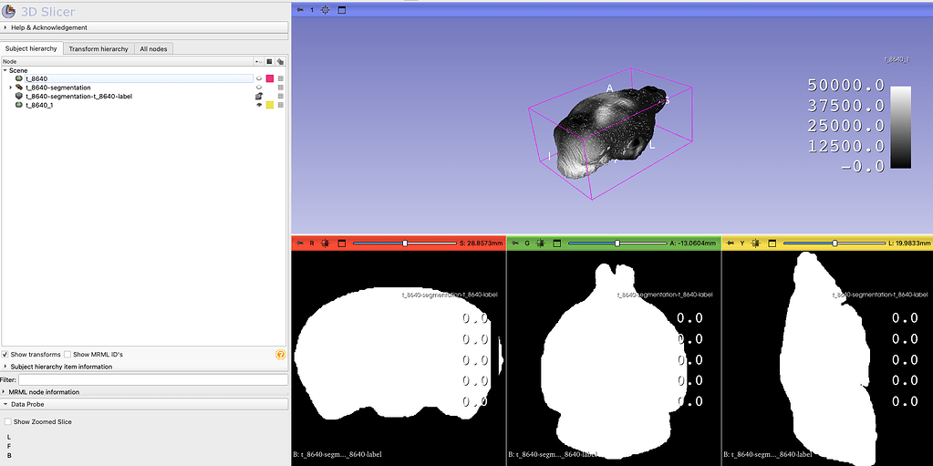 Converting vtk to DICOM - Support - 3D Slicer Community