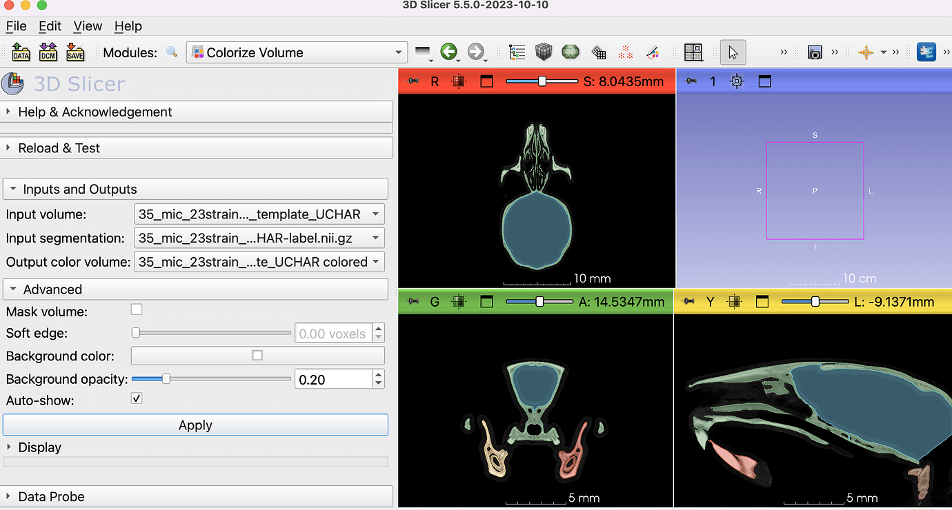 VTK multivolume/cinematic volume rendering - Support - 3D Slicer Community