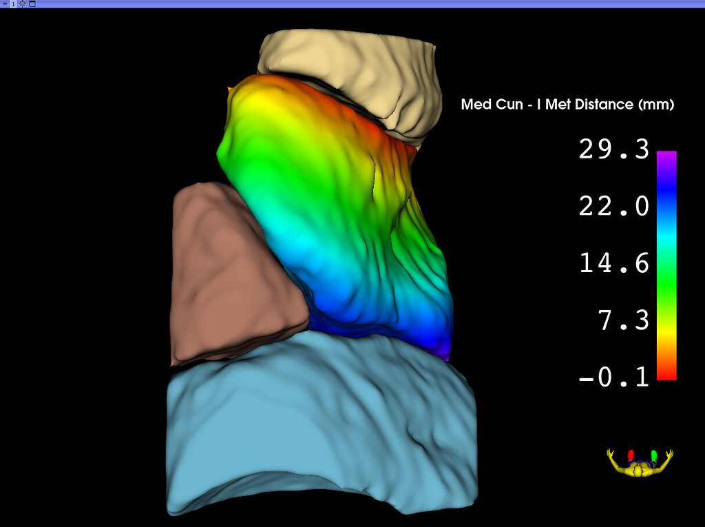 Area from Distance Color Maps - Support - 3D Slicer Community
