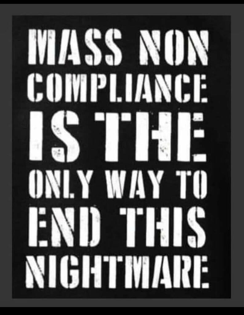 The duty of a patriot is to protect his nation from its government ...