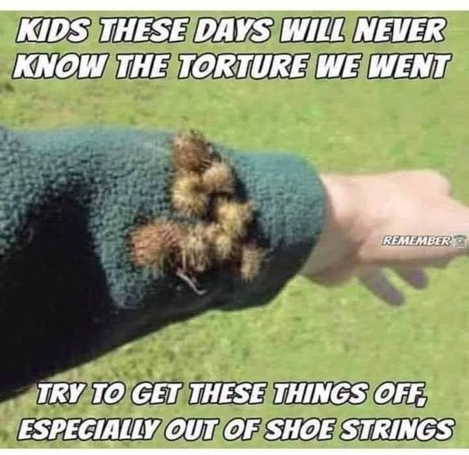 Memes that don’t fit elsewhere II (NO Politics) (Part 1) - #6415 by ...