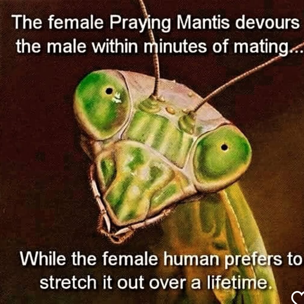 Meme of the day/ Funny pictures: running list - #6521 by Michael977 ...