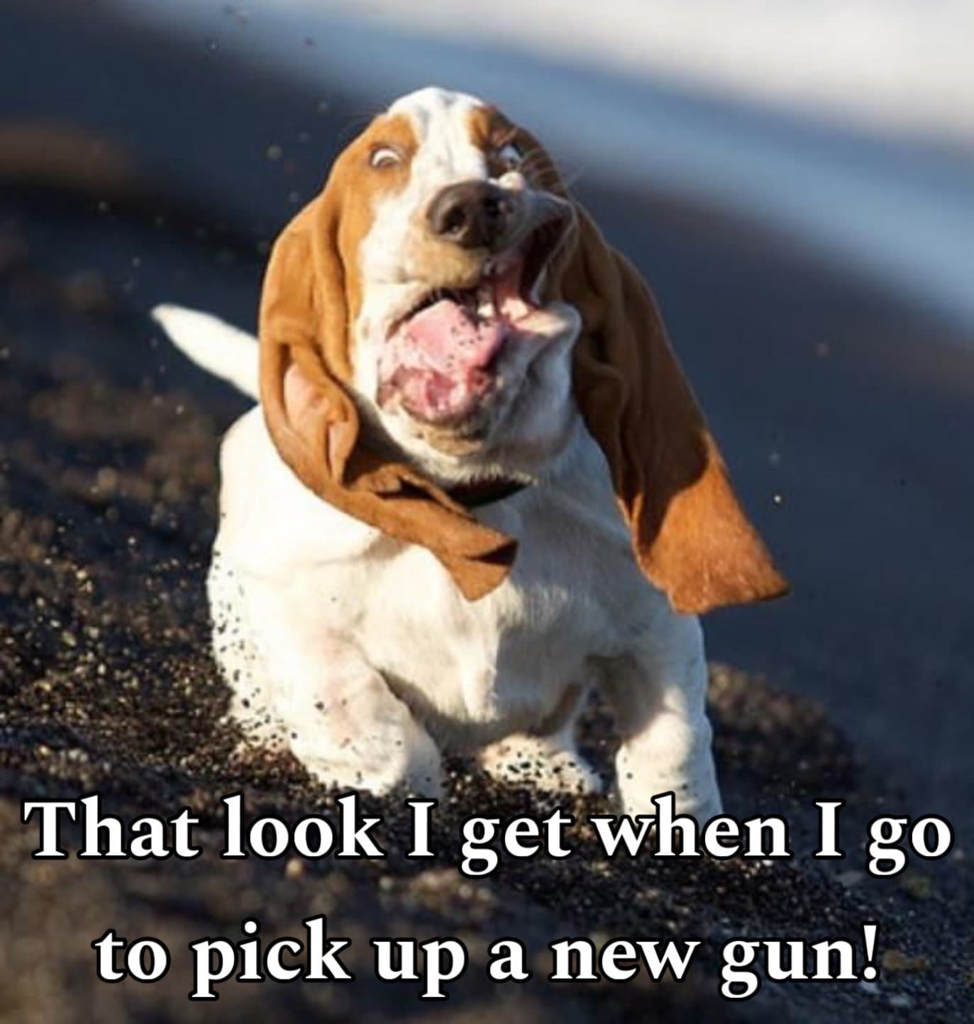 Meme of the day/ Funny pictures: running list - #2596 by leo23 - Take a ...