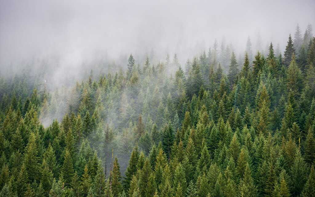 Formatting poetry on ghost - Using Ghost - Ghost Forum