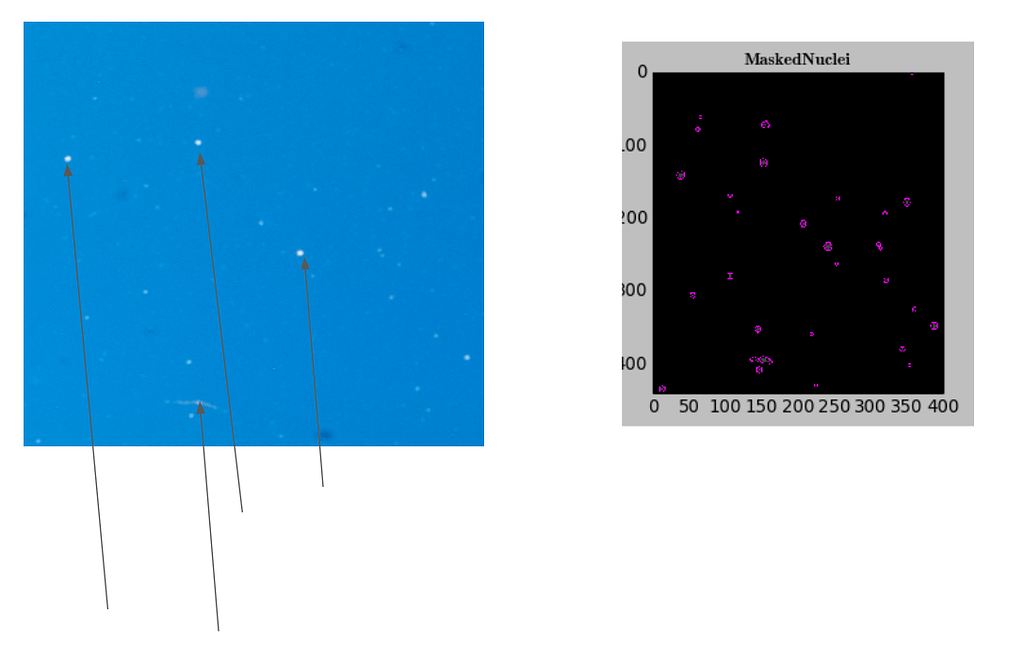 How to mask objects - Image Analysis - Image.sc Forum