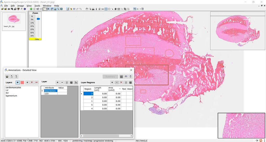 ImageScope annotations length and area are zero - Usage & Issues - Image.sc Forum