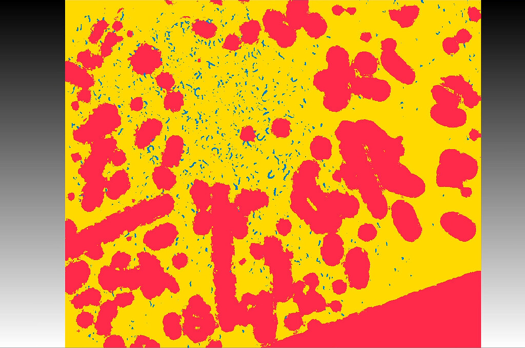 Difference between exported segmentation and segmentation shown in ilastik - Usage & Issues ...