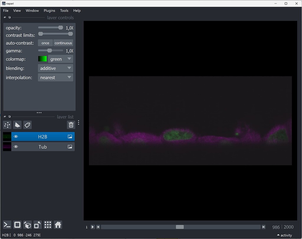 Visualize 1 Tb Czi File In Napari Usage And Issues Imagesc Forum