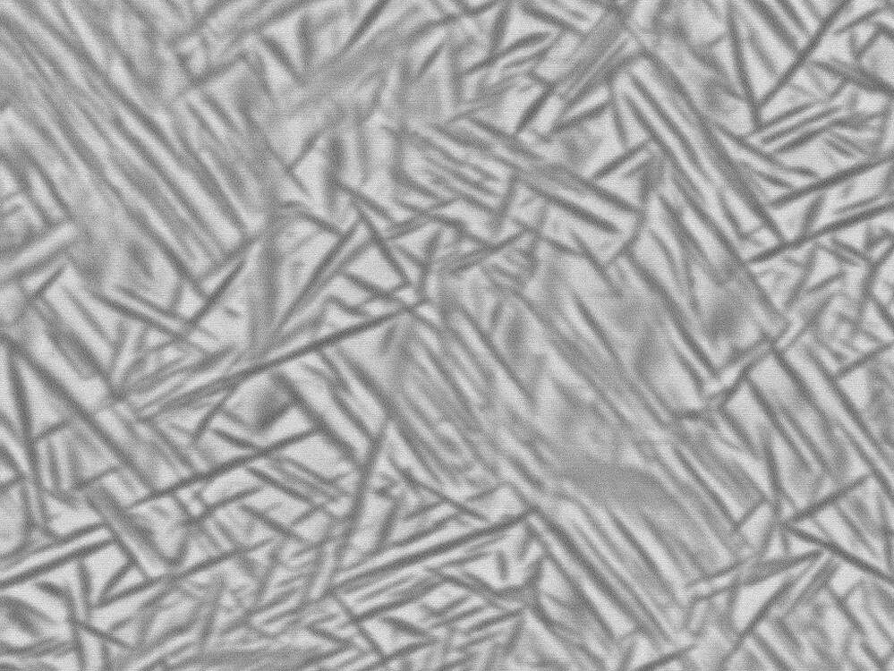 Measure Length and Width of overlapping Needle-like Particles - Image ...