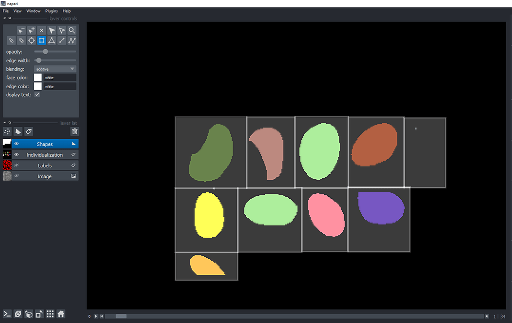 Creating several layers using just one magicgui widget - Development - Image.sc Forum