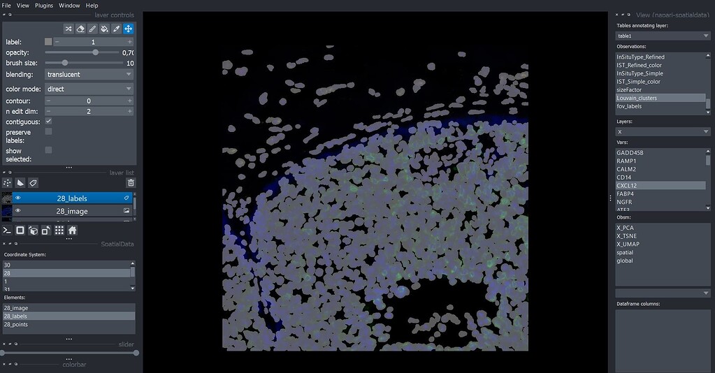 Avoid Labels.color and setting DirectLabelColormap in Napari - Usage & Issues - Image.sc Forum
