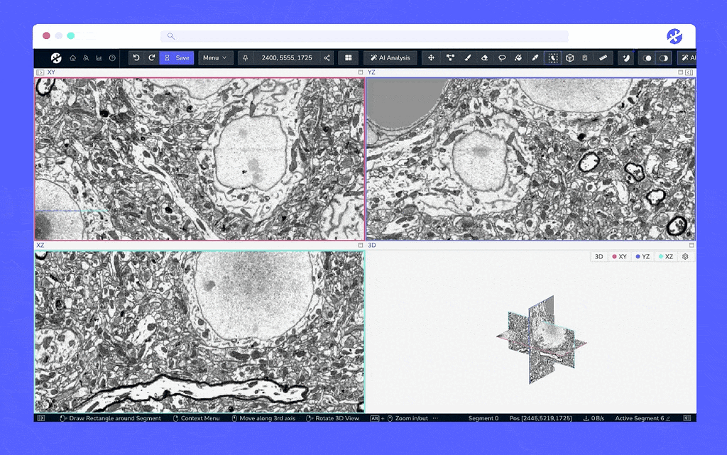 Feature highlights of WEBKNOSSOS from 2023 - Blog Posts - Image.sc Forum