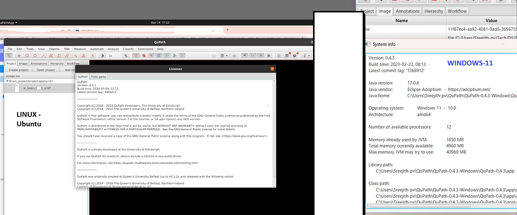 Qupath "export import and opening an annotation qupath project from windows to linux" - Image ...