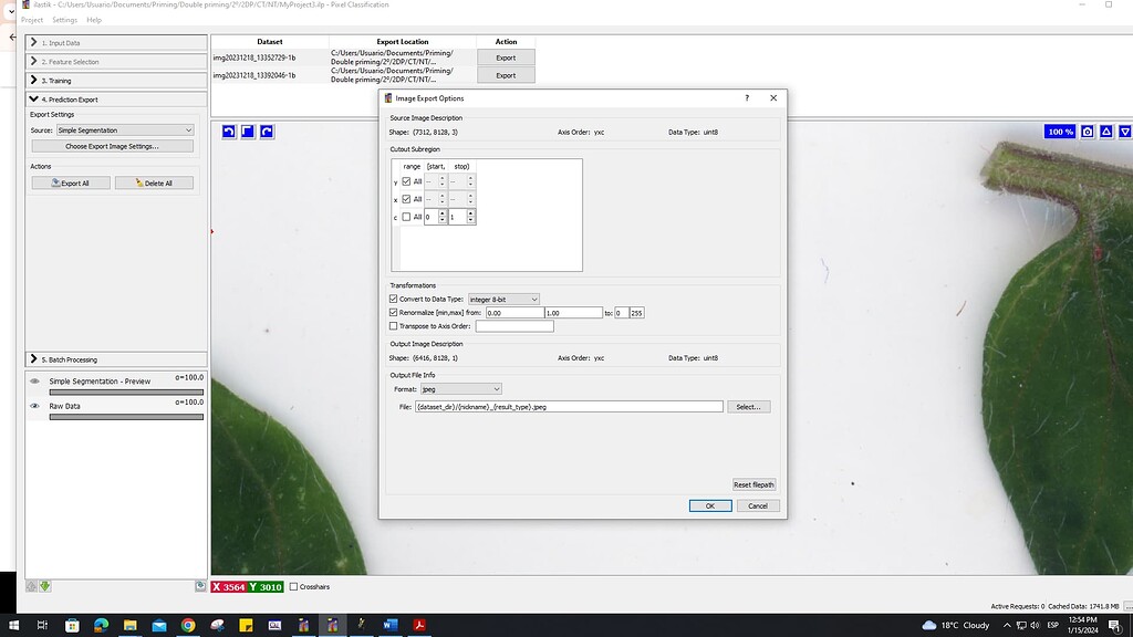 Error ilastik 1.4.1b13 export segmentation jpeg - Image Analysis - Image.sc Forum