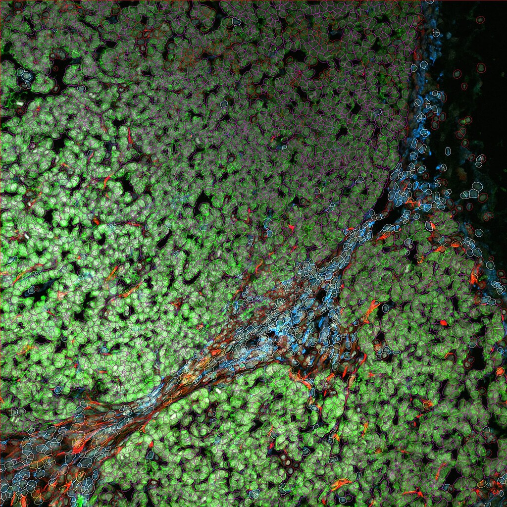 Brightness and contrast adjusting using FIJI macros, while keeping existing overlays - Image ...