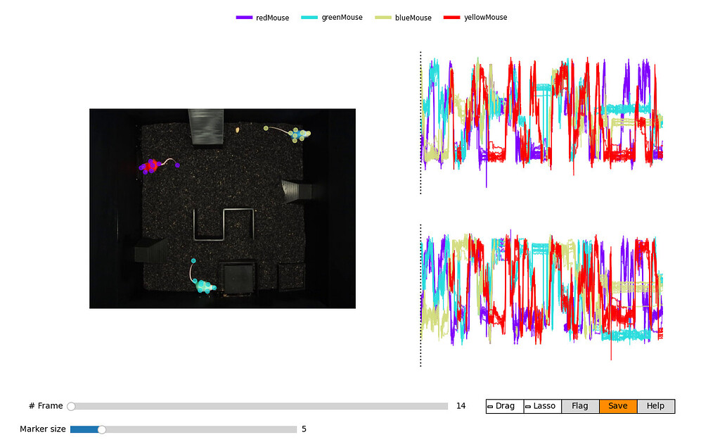 Multi animal refine tracklets - labels are placed completely incorrectly - Usage & Issues ...