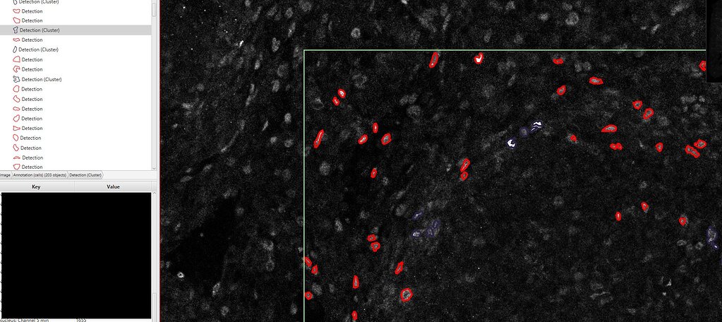 Qupath annotation/detections color and visibility - Image Analysis - Image.sc Forum